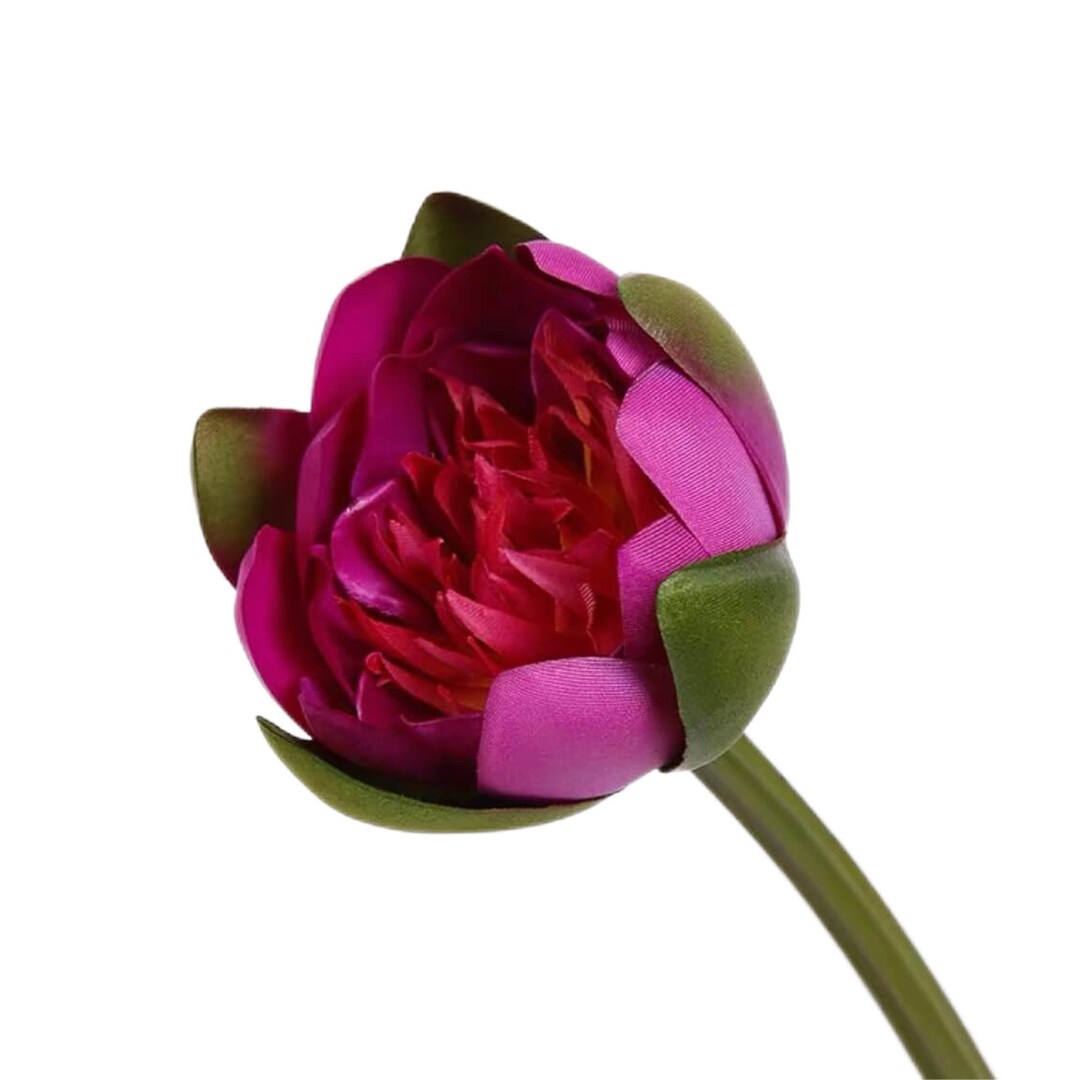 Fake Color Lotus Flower / Works With All Types of Décor / Never Will ...