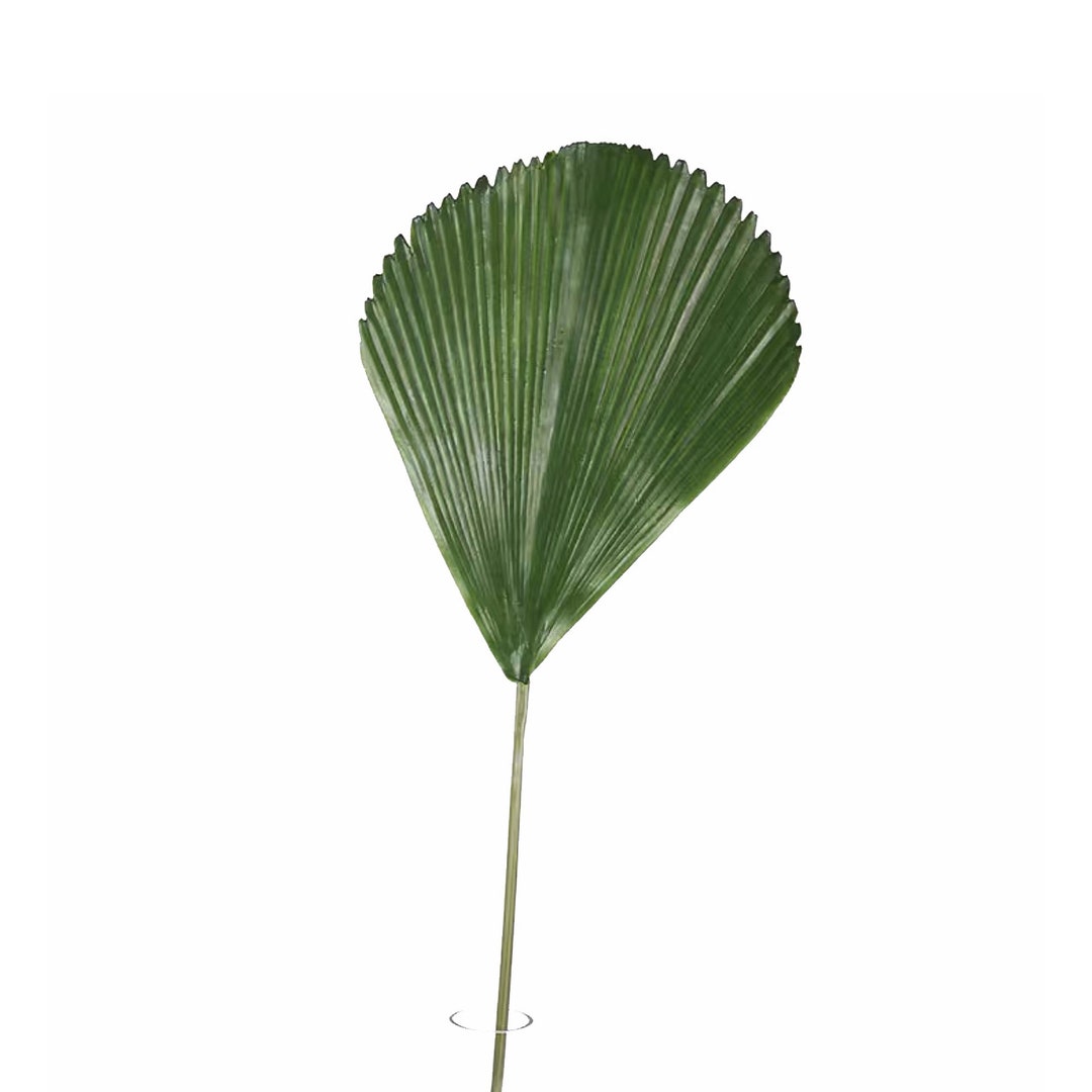 Artificial Plants Fan Palm Leaf Branch / Forever Fresh and No - Etsy