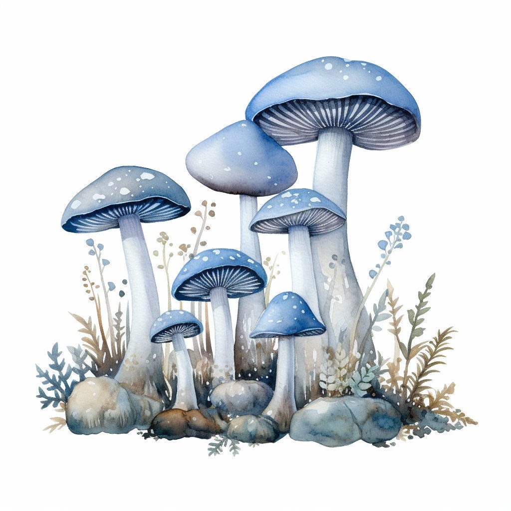 Red and Blue Toadstool Water Bottle Sticker Mushroom House Clipart High ...