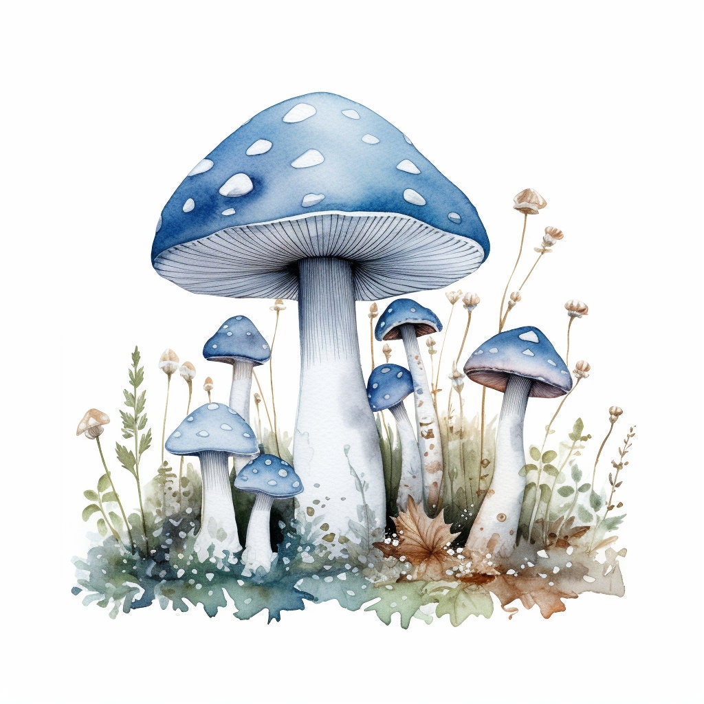 Red and Blue Toadstool Water Bottle Sticker Mushroom House Clipart High ...