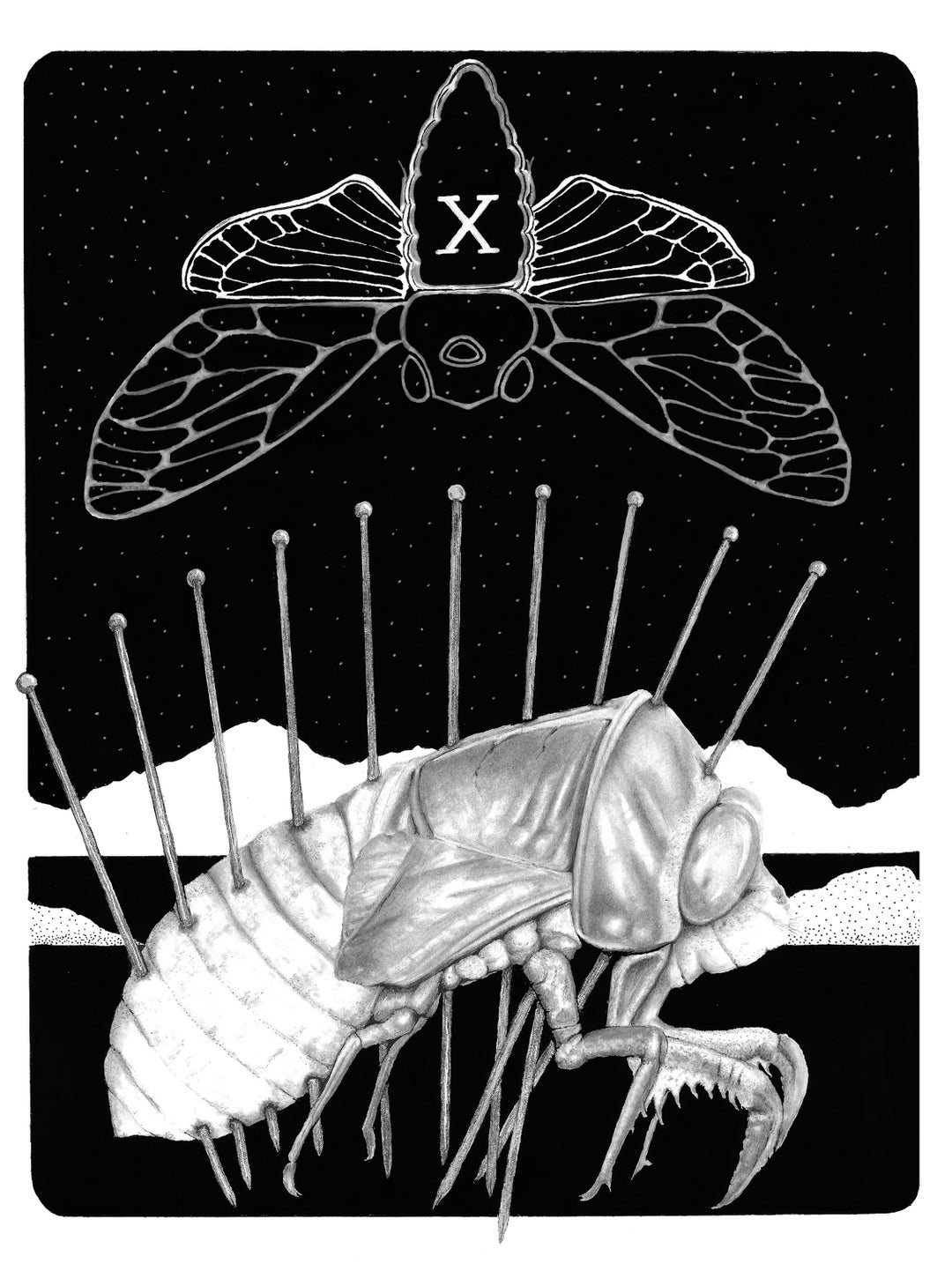 Cicada - Ten of Swords - Signed Art Print 11"x14" - Etsy