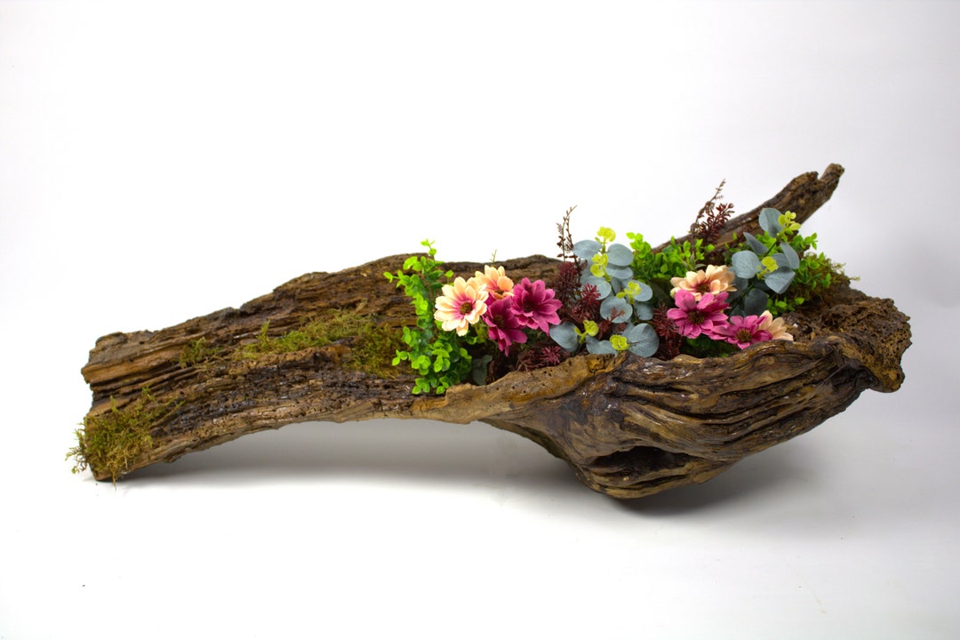 Driftwood Planter Tree Log Planter Garden Design Flower Plant Pot ...