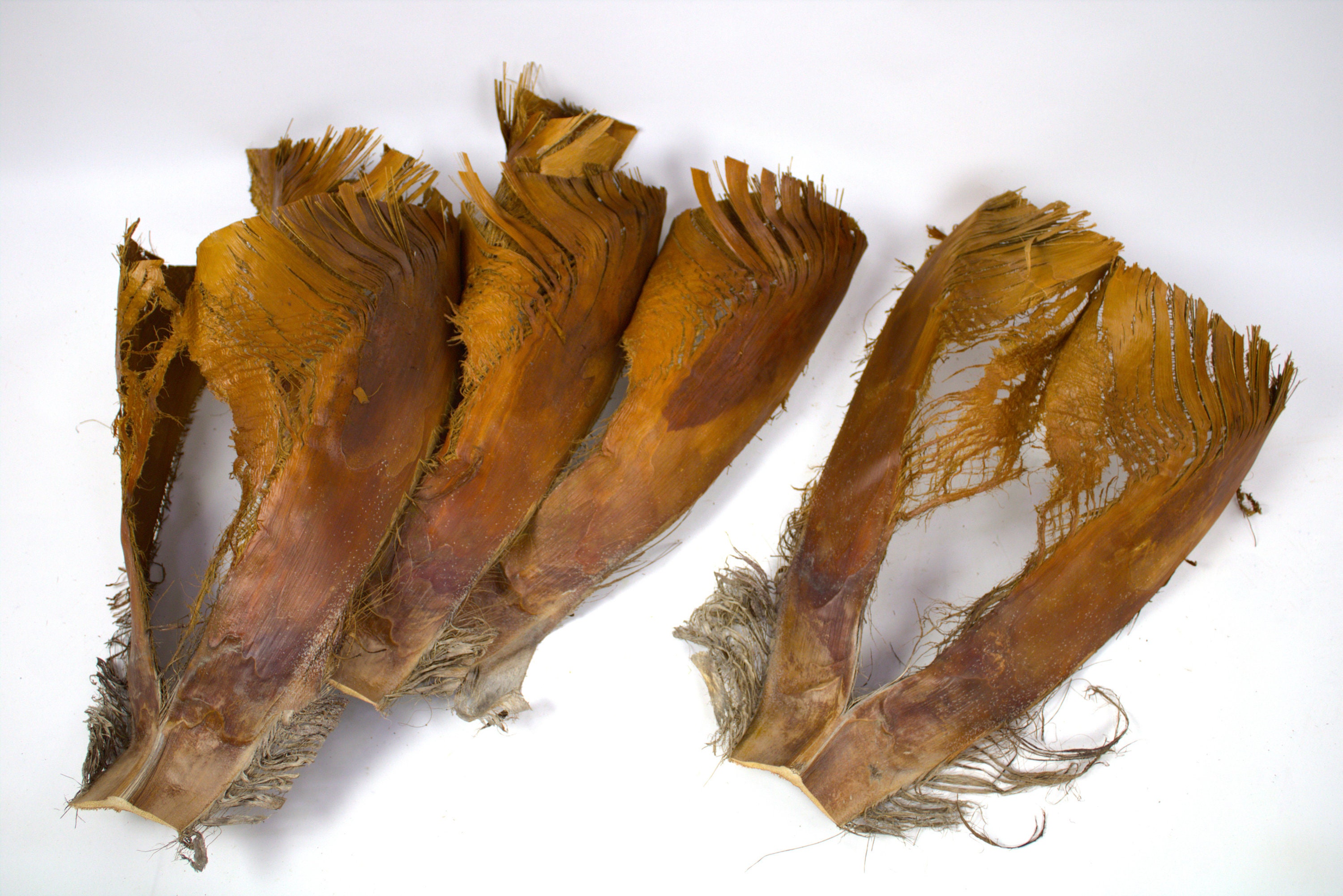 Palm Tree Bark 4 Adet Palm Bark Fiber Natural Palm Outer Bark to Make ...