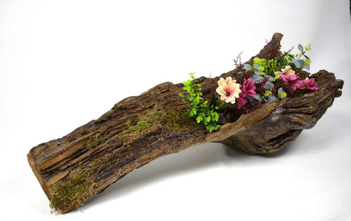 Driftwood Planter Tree Log Planter Garden Design Flower Plant Pot ...