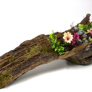 Driftwood Planter Tree Log Planter Garden Design Flower Plant Pot ...