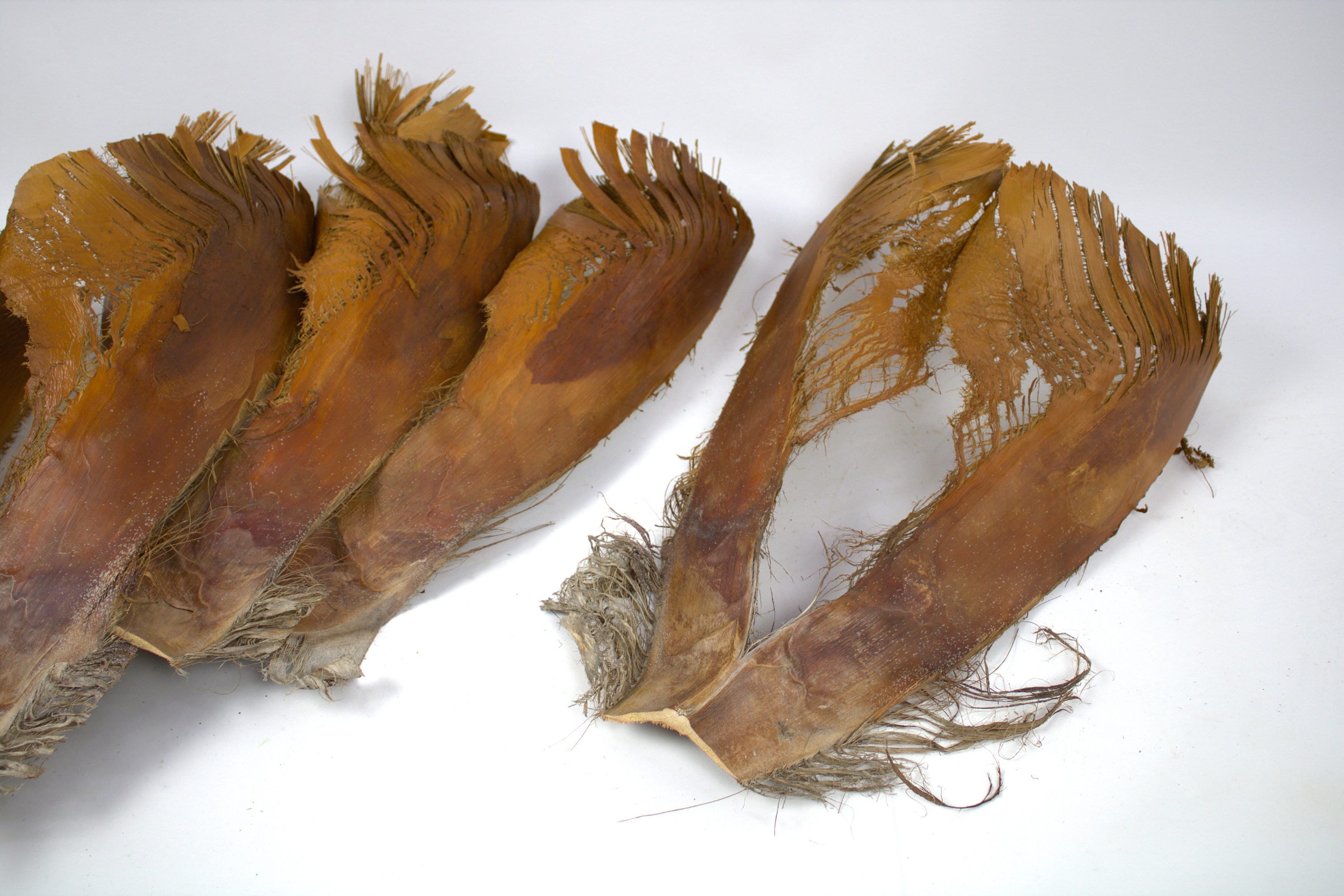 Palm Tree Bark 4 Adet Palm Bark Fiber Natural Palm Outer Bark - Etsy