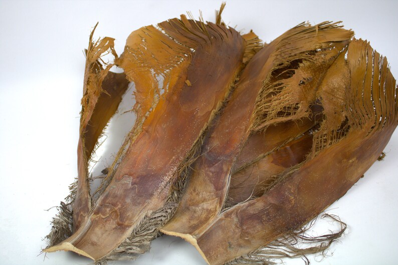 Palm Tree Bark 4 Adet Palm Bark Fiber Natural Palm Outer Bark to Make ...