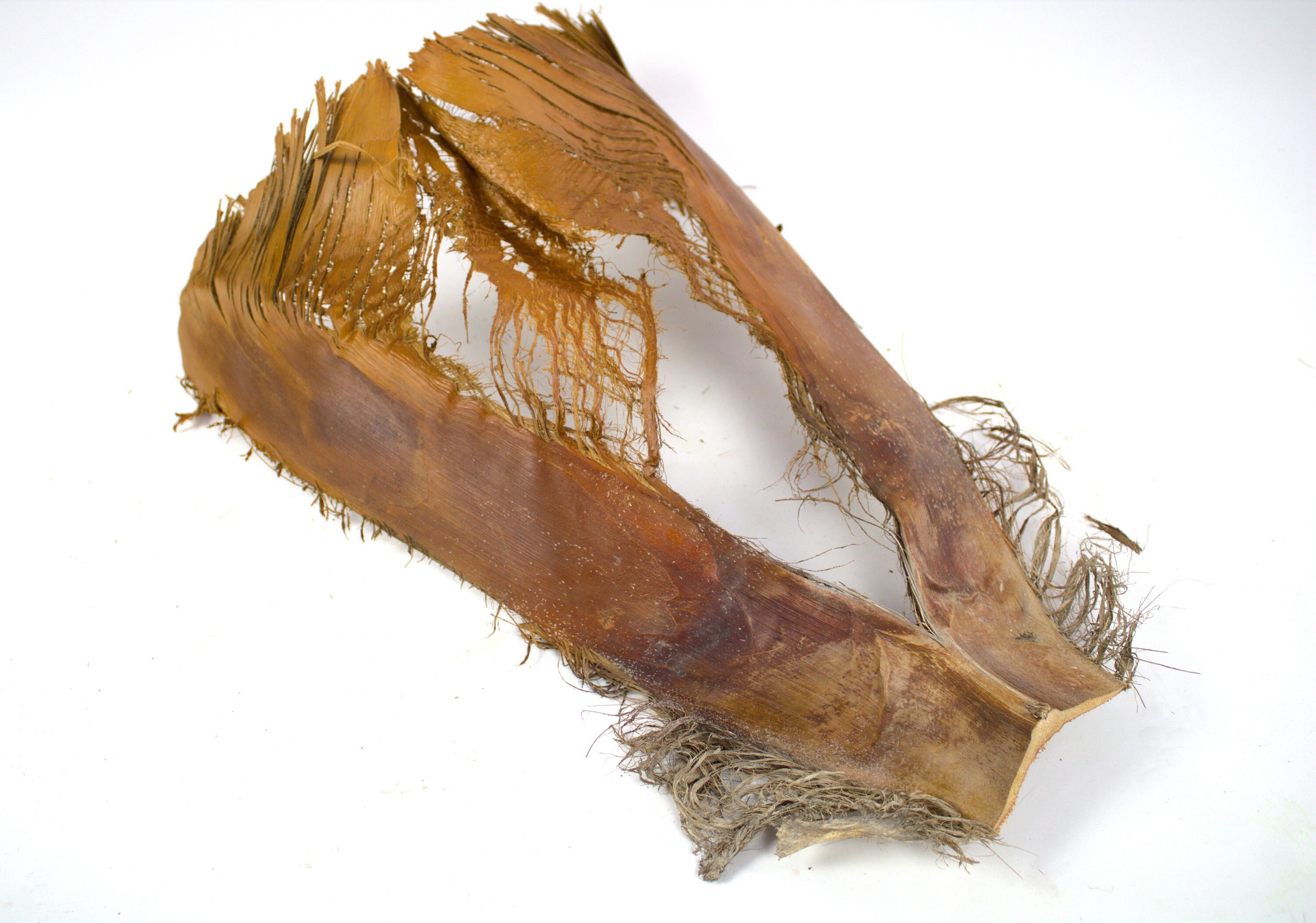 Palm Tree Bark 4 Adet Palm Bark Fiber Natural Palm Outer Bark to Make ...