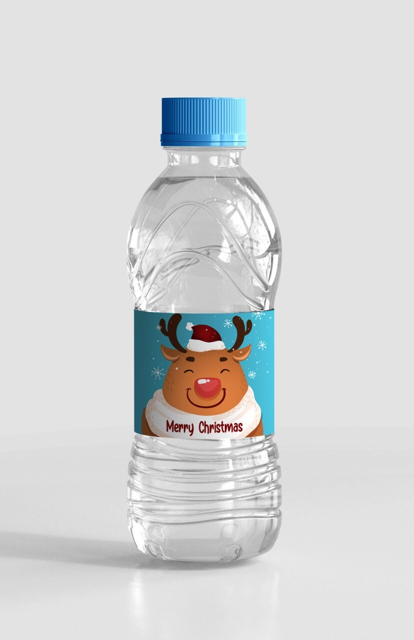 Printable Water Bottle Label for Your Christmas Party, DIY Instant ...