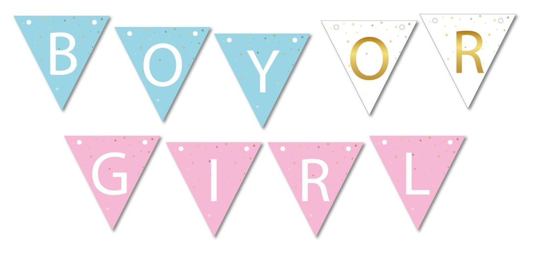 Printable Banner for Gender Reveal Parties, Boy or Girl Banner, Party Decorations, DIY Instant ...