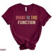 What's the Function Shirt Aba Therapy Shirt Aba Shirts Bcba Shirt Aac ...