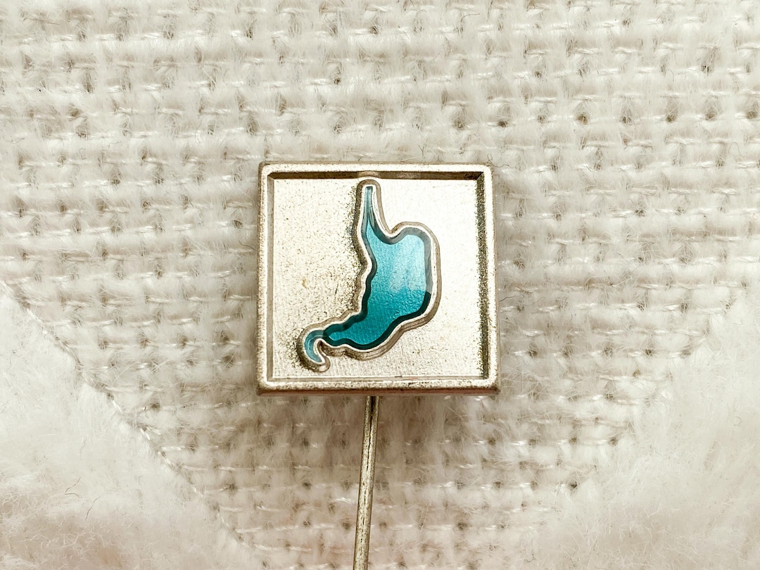 Vintage 1970s Stomach Disease Awareness Lapel Pin - Stylized Stomach ...