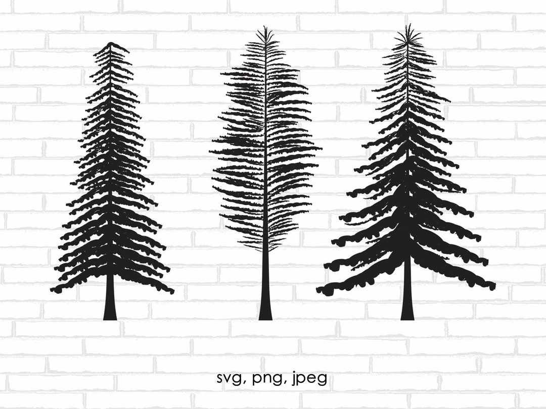 Pine Tree svg Pine Clipart Tree svg Forest svg Camping svg Tree ...