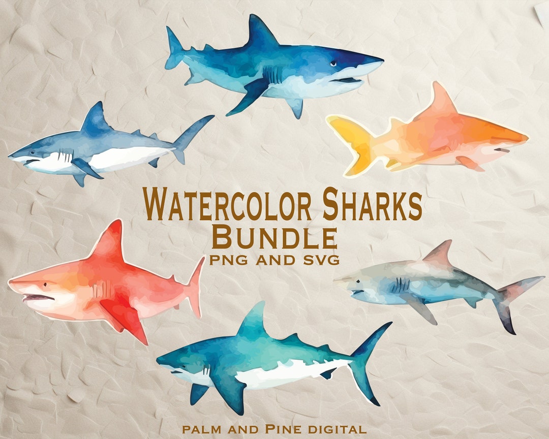 Watercolor Sharks Svg Png Bundle Shark Clipart Shark Svg Great White ...