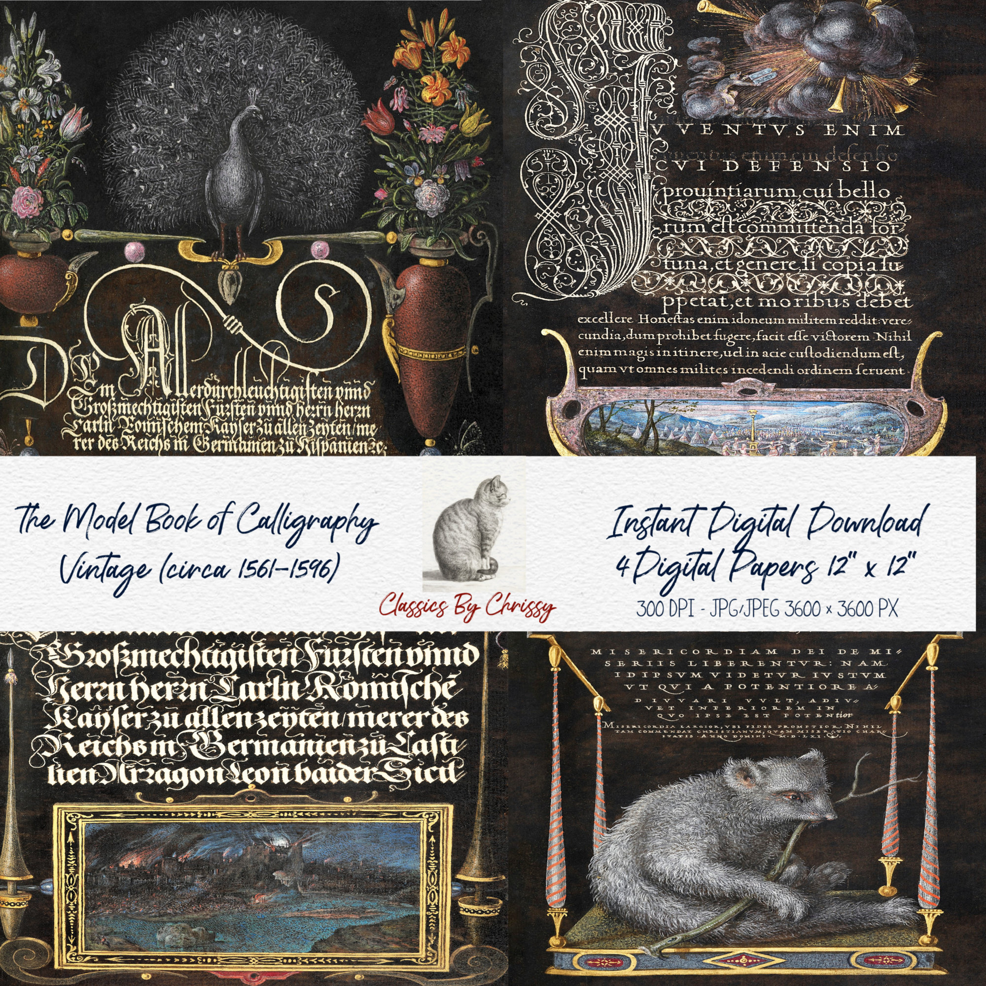 Vintage Model Book of Calligraphy Writing Circa 1561-1596 Black ...