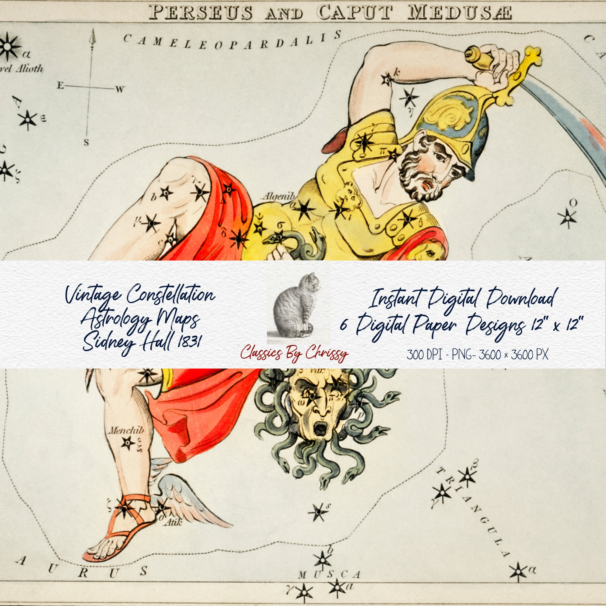 Vintage Astrology Constellation Maps Signs Background Digital Paper ...