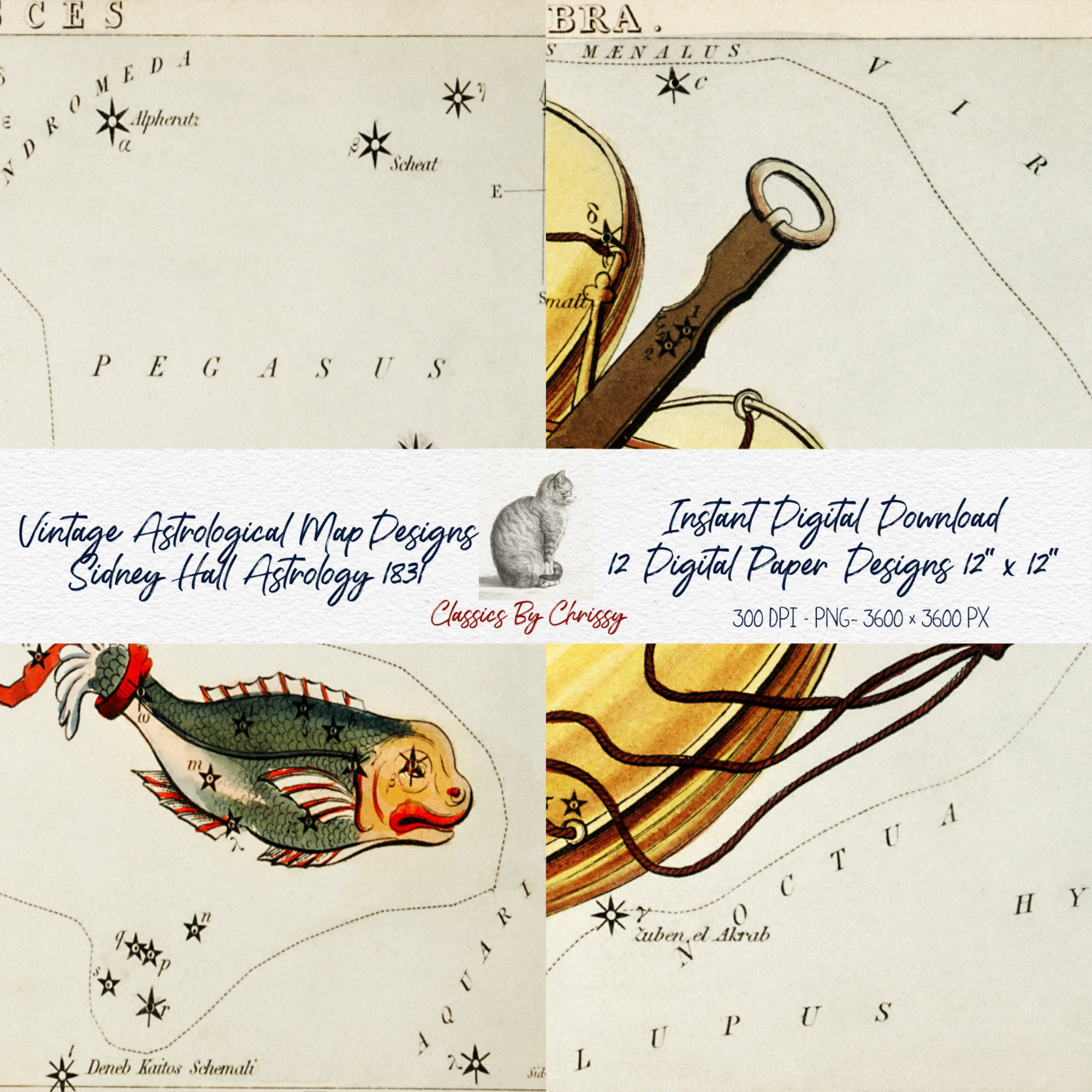 Vintage Astrology Zodiac Maps Signs, Background Digital Paper Instant ...