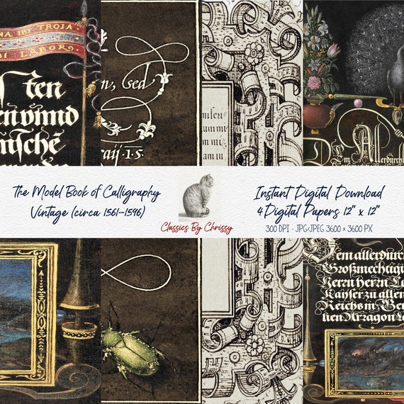 Vintage Model Book of Calligraphy Writing Circa 1561-1596 - Etsy