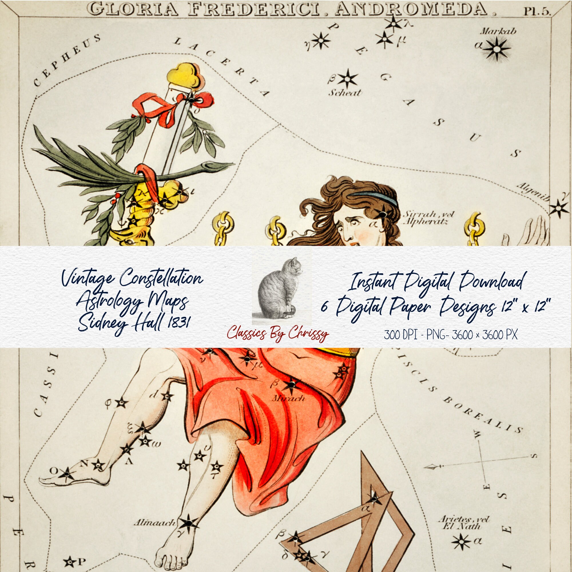 Vintage Astrology Constellation Maps Signs Background Digital Paper ...