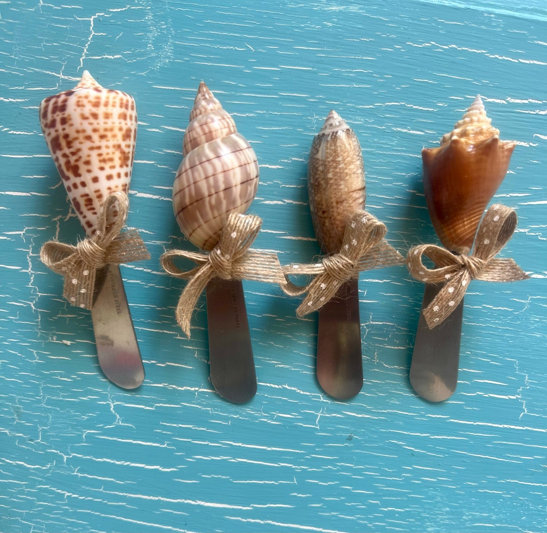 Shell Spreader Knife small Blade. Handmade One-of-a-kind Marco Island ...