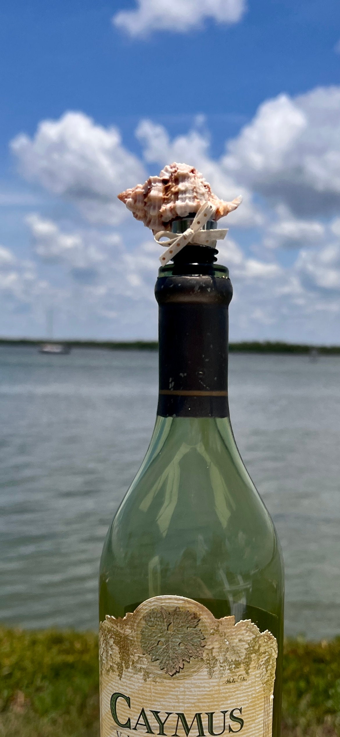 Shell Stopper. Handmade One-of-a-kind Marco Island Seashell Bottle ...