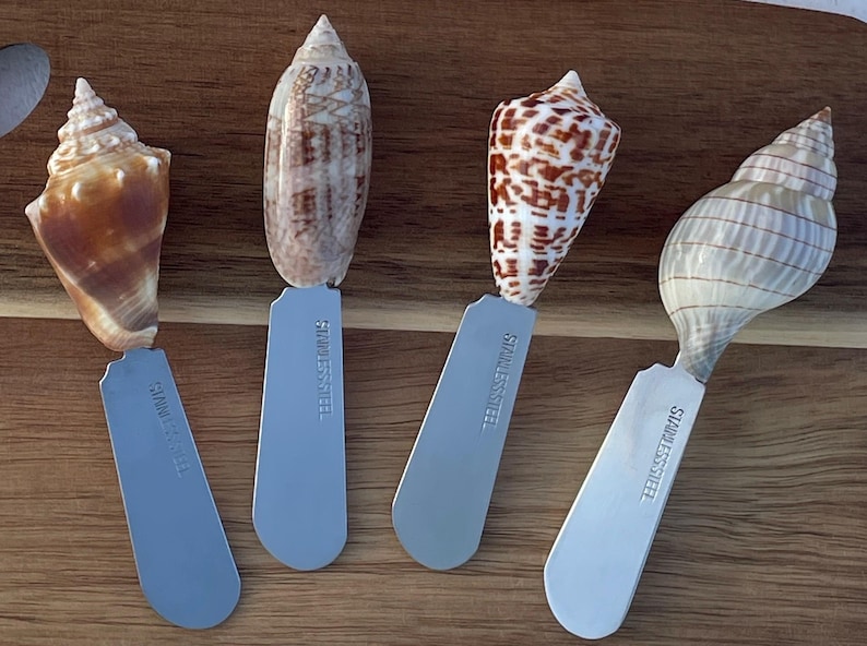Seashell Handle Cheese Spreader Knife, Stainless Steel Blade, Coastal ...