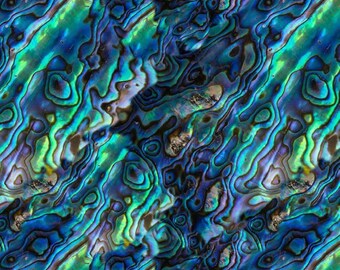 Abalone Decals - Etsy