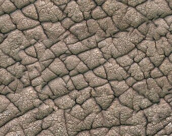 Elephant Hide - Etsy