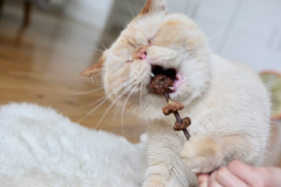 Cat Kebab Stick Toy Silver Vine Matatabi Gall Fruit | Etsy