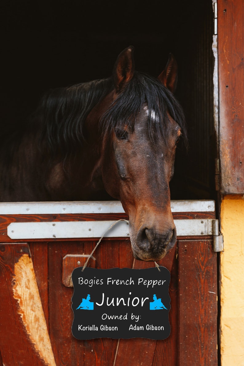 Custom 8x10 In. Horse Stall Signs Chalkboard Stall Signs Barn Decor ...