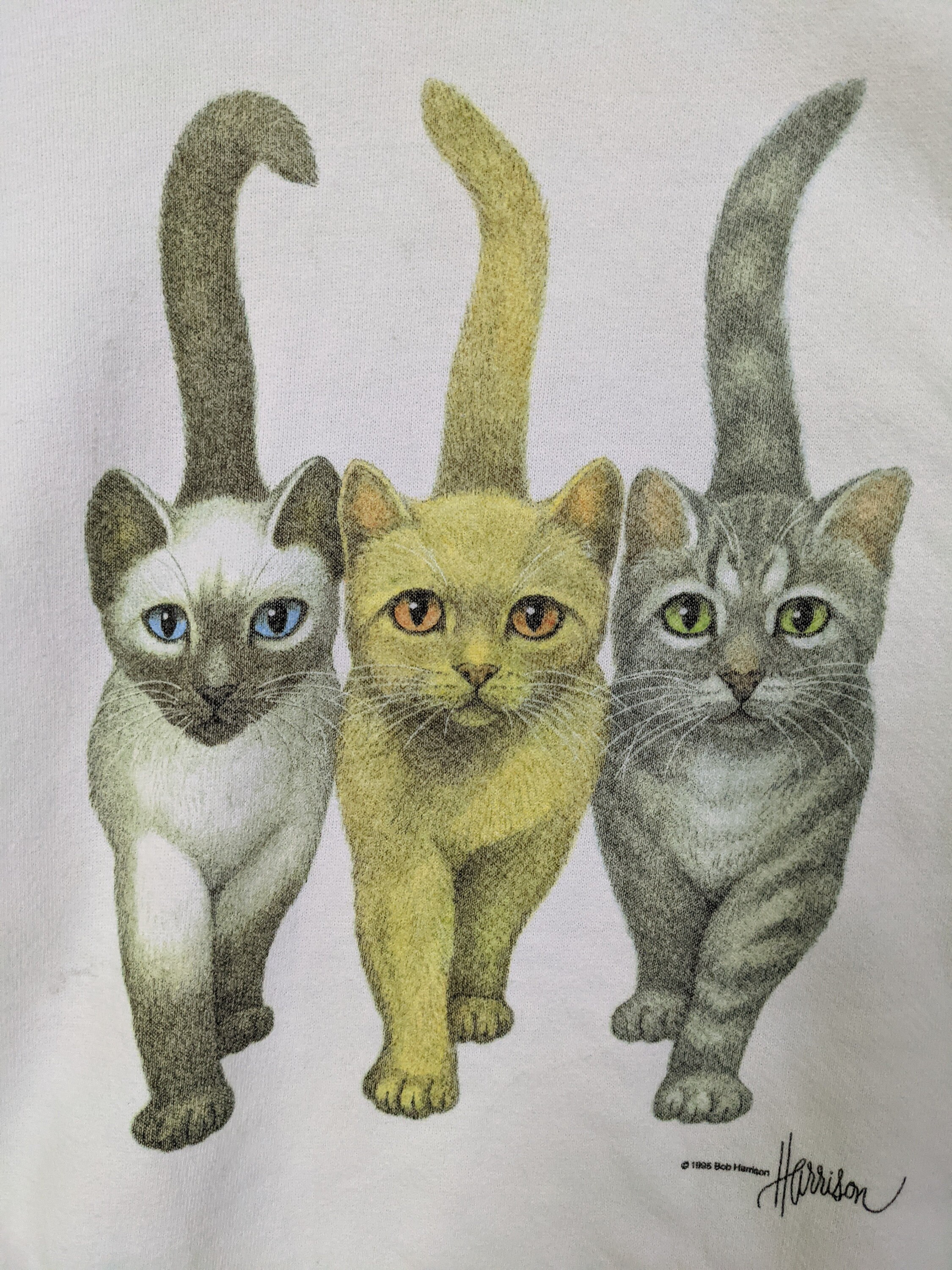 Vintage 1995 Bob Harrison Cat Kitten Mirror Print Sweatshirt Cat Kitten ...