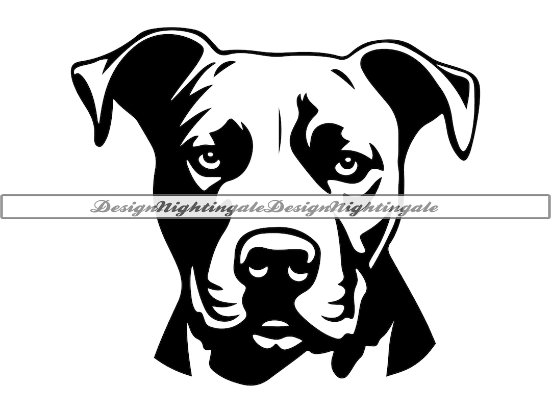 Pitbull #2 SVG, Pitbull Face SVG, Pitbull Clipart, Pitbull Files for ...