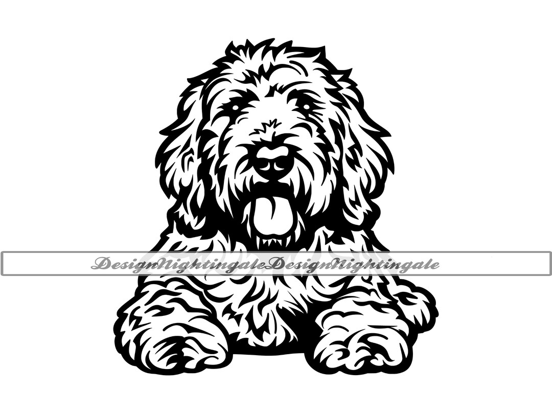 Goldendoodle SVG PNG DXF, Goldendoodle Face Svg, Goldendoodle Clipart ...