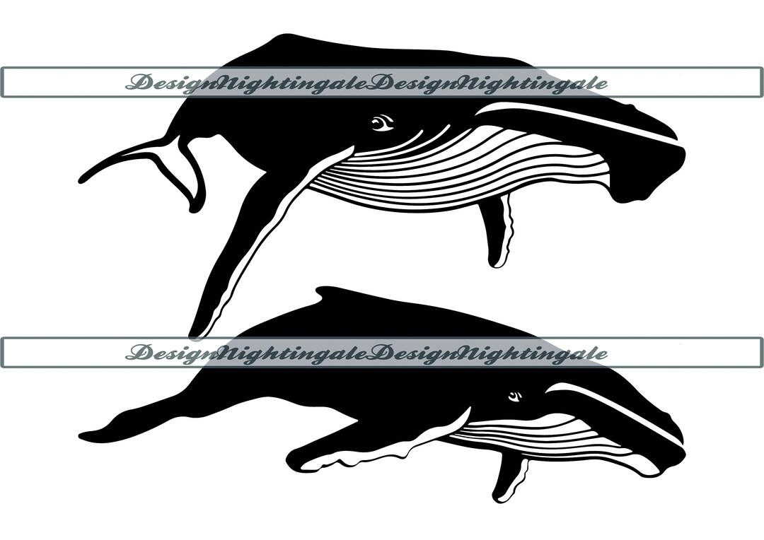 Humpback Whale SVG, Whale Clipart, Humpback Whale Files for Cricut ...