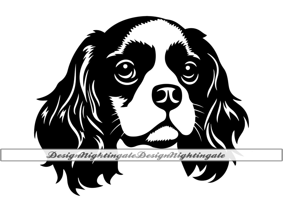 Cavalier King Charles Spaniel #2 SVG, Cavalier King Charles Spaniel ...