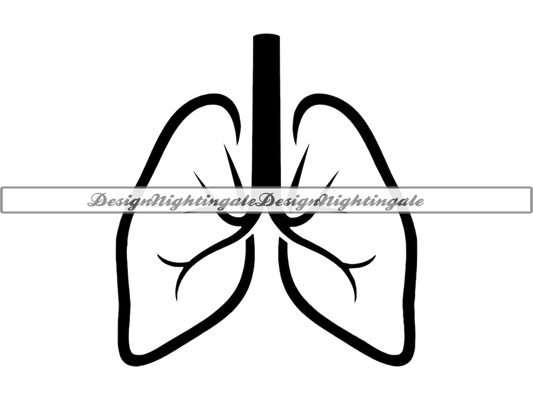 Lungs Outline SVG, Human Lungs SVG, Lung SVG, Lungs Clipart, Lungs ...