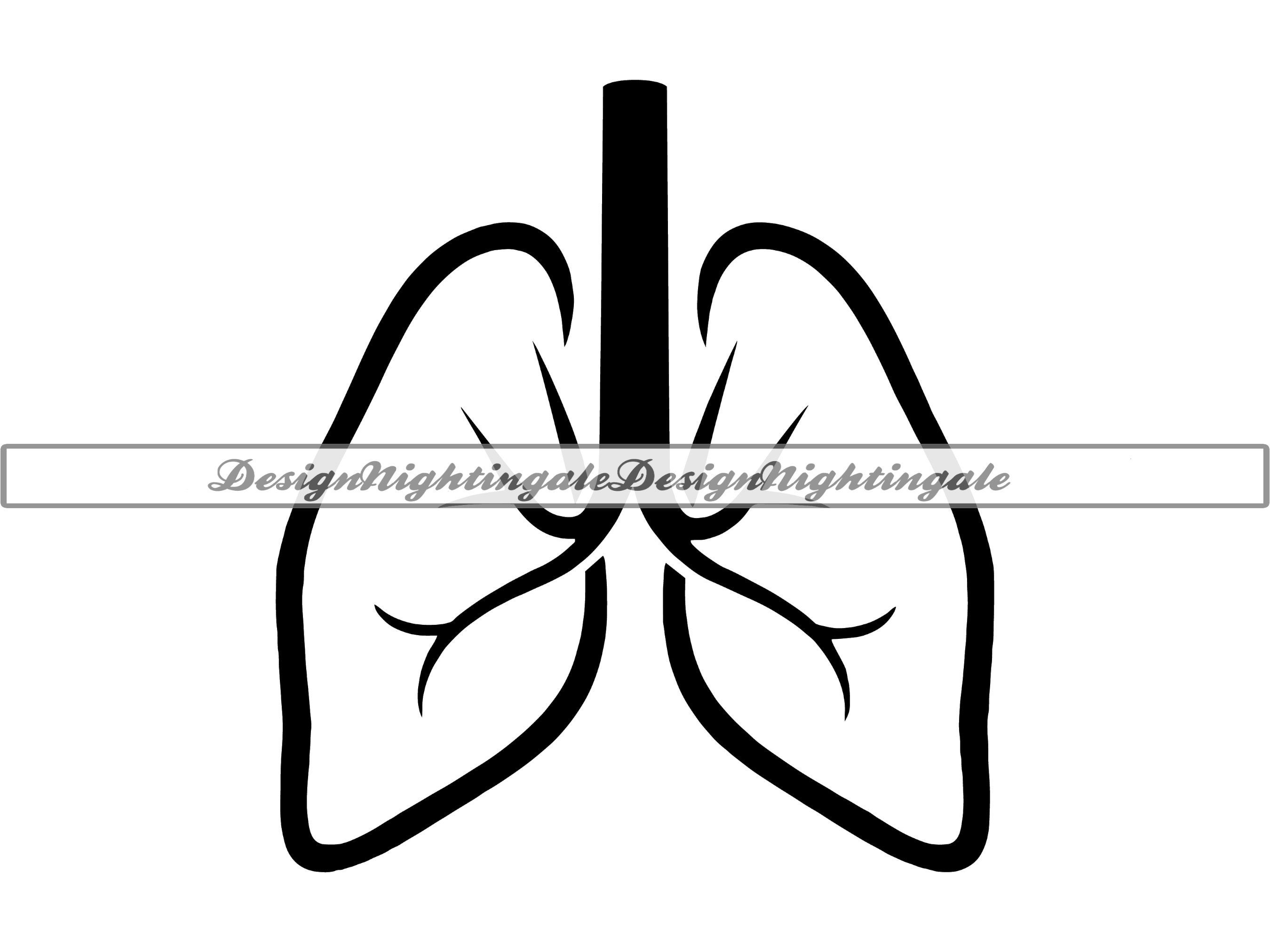 Lungs Outline SVG, Lunge SVG, Lunge SVG, Lungs Clipart, Lungs Files For Cricut, Lungs Cut ...