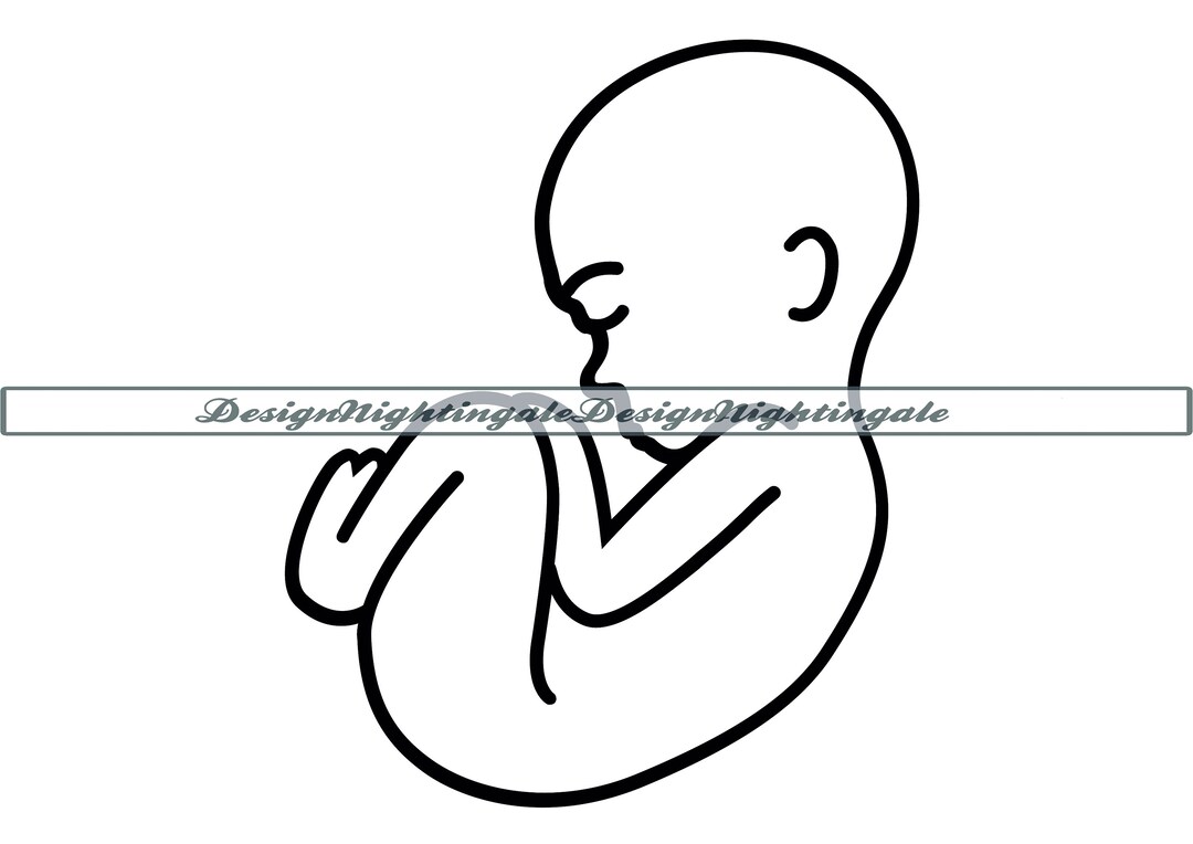 Fetus Outline SVG, Fetus SVG, Baby SVG, Baby Clipart, Baby Files for ...
