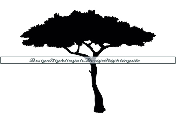Safari Tree Silhouette Vector Acacia Tree Vector Stock Illustrations