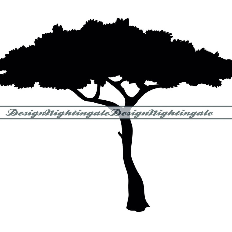 Wall Art Acacia Tree Art - Etsy