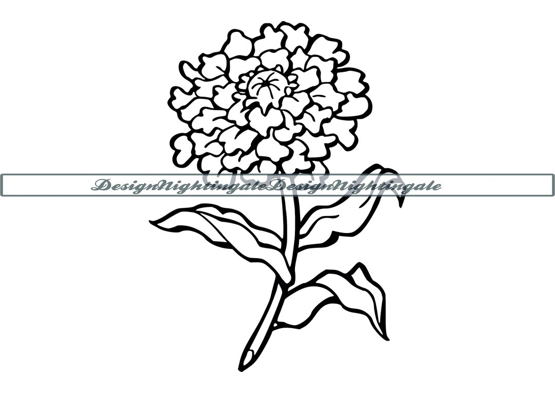 Marigold Flower SVG, Marigold SVG, Flower SVG, Marigold Flower Clipart ...