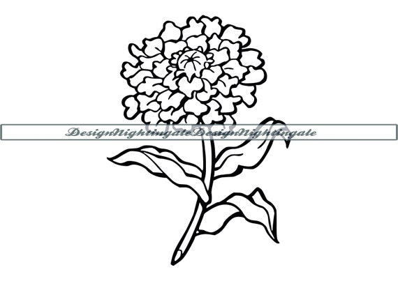 Marigold Flower SVG Marigold SVG Flower SVG Marigold Flower | Etsy