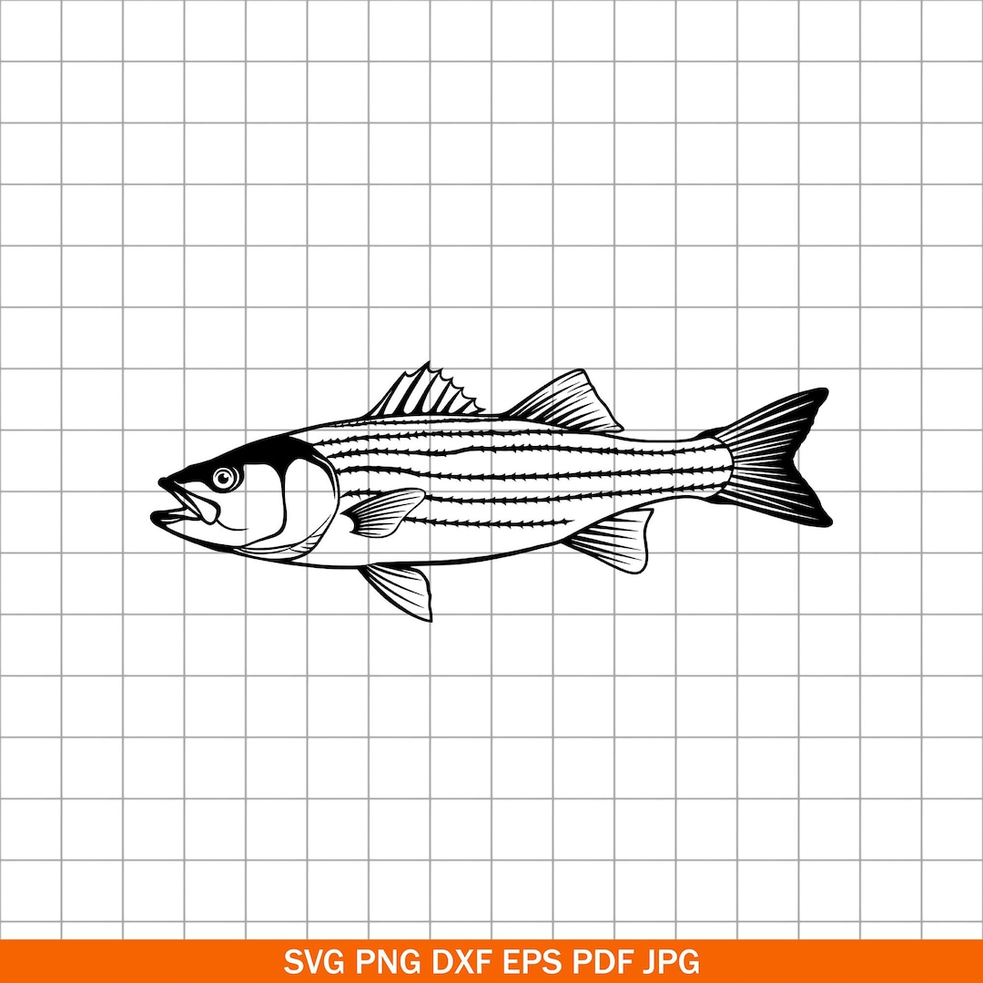Striped Bass Fish SVG PNG DXF, Striper Fishing Cut File (vector, Laser ...