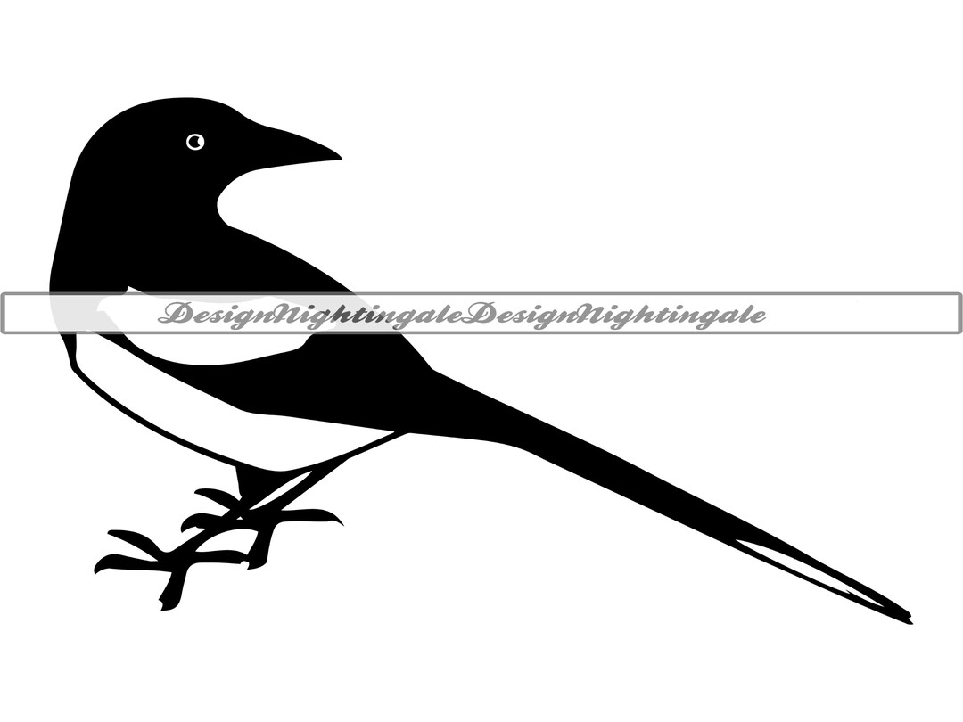 Magpie SVG, Bird Svg, Magpie Clipart, Magpie Files for Cricut, Magpie ...