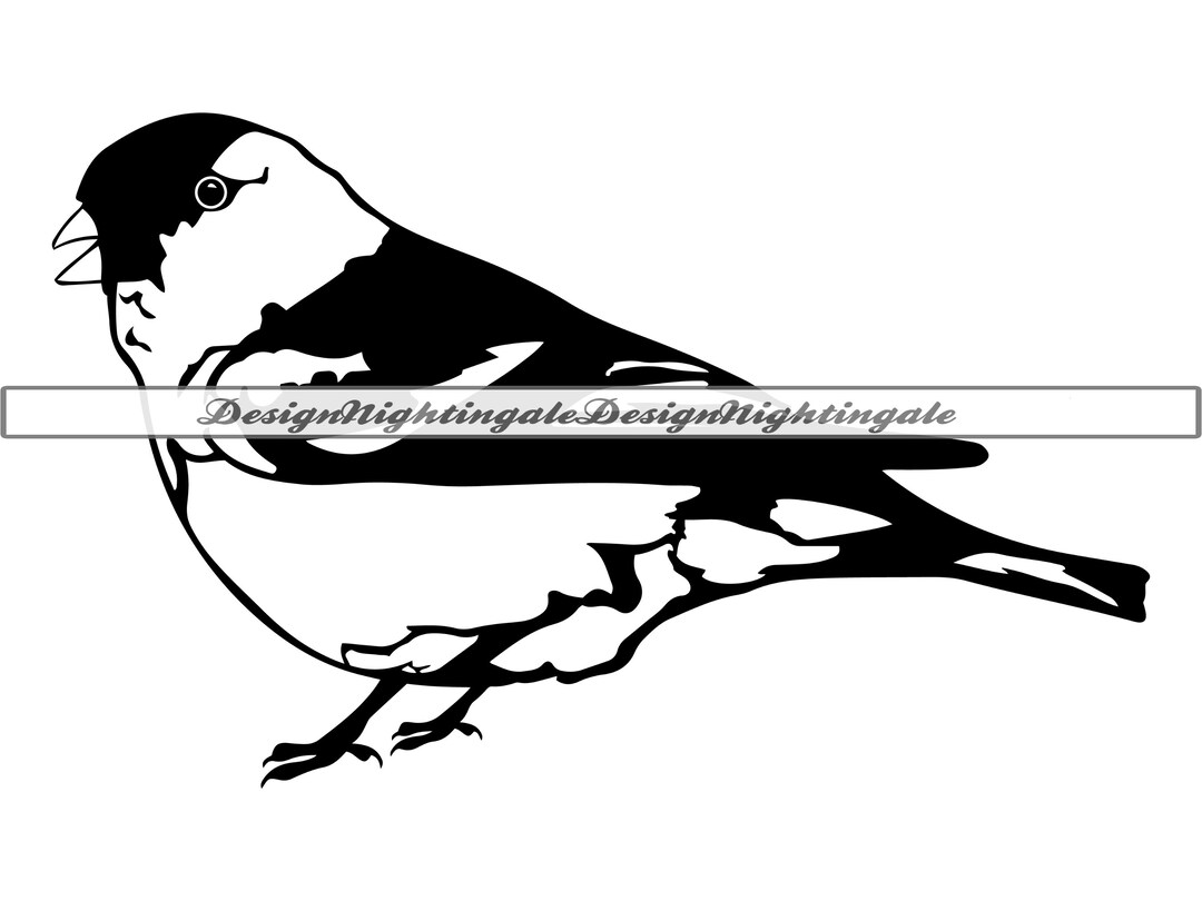 American Goldfinch SVG, Bird Svg, American Goldfinch Clipart, Files for ...