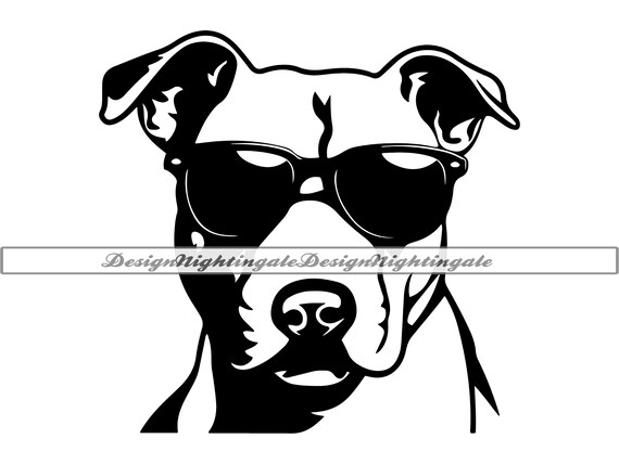 Pitbull With Sunglasses Svg American Pit Bull Terrier With Heart And