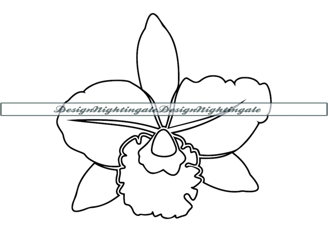 Orchid Outline SVG, Orchid Flower SVG, Flower SVG, Orchid Clipart ...