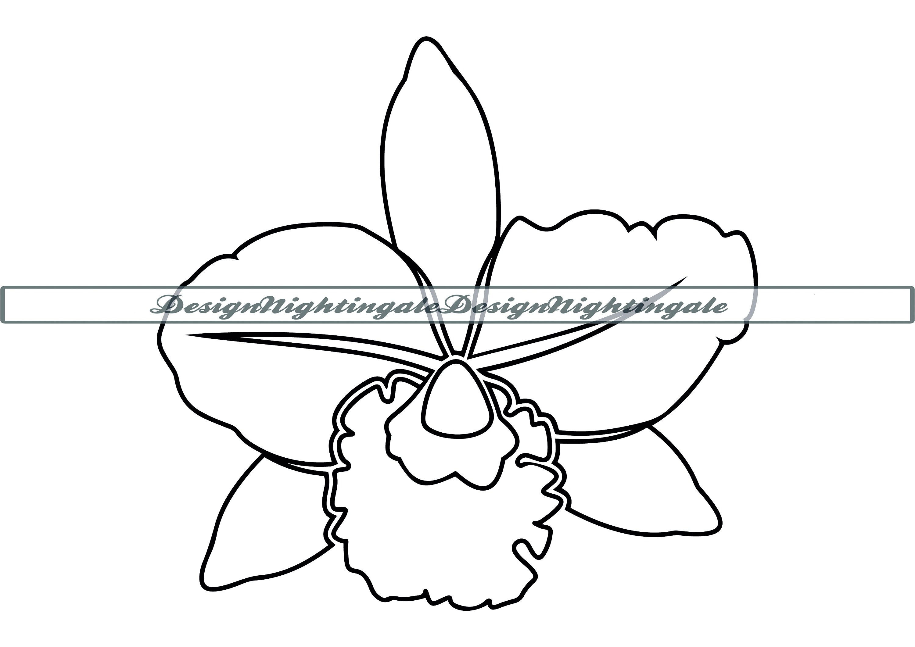 Orchid Outline Printable