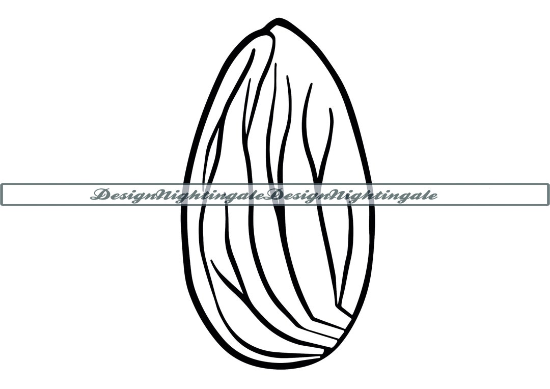 Almond Outline SVG, Almond SVG, Nuts SVG, Almond Clipart, Almond Files ...