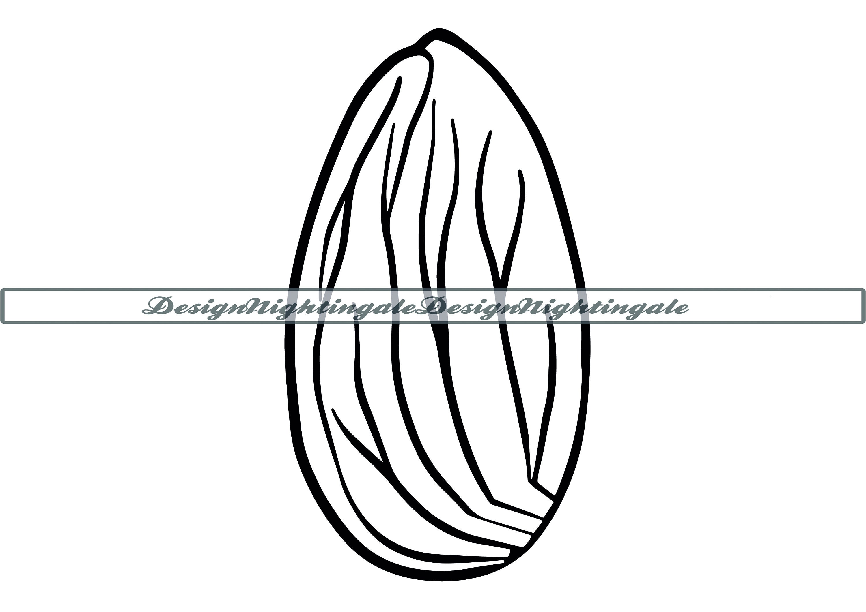 Almond Outline SVG, Almond SVG, Nuts SVG, Almond Clipart, Almond Files ...